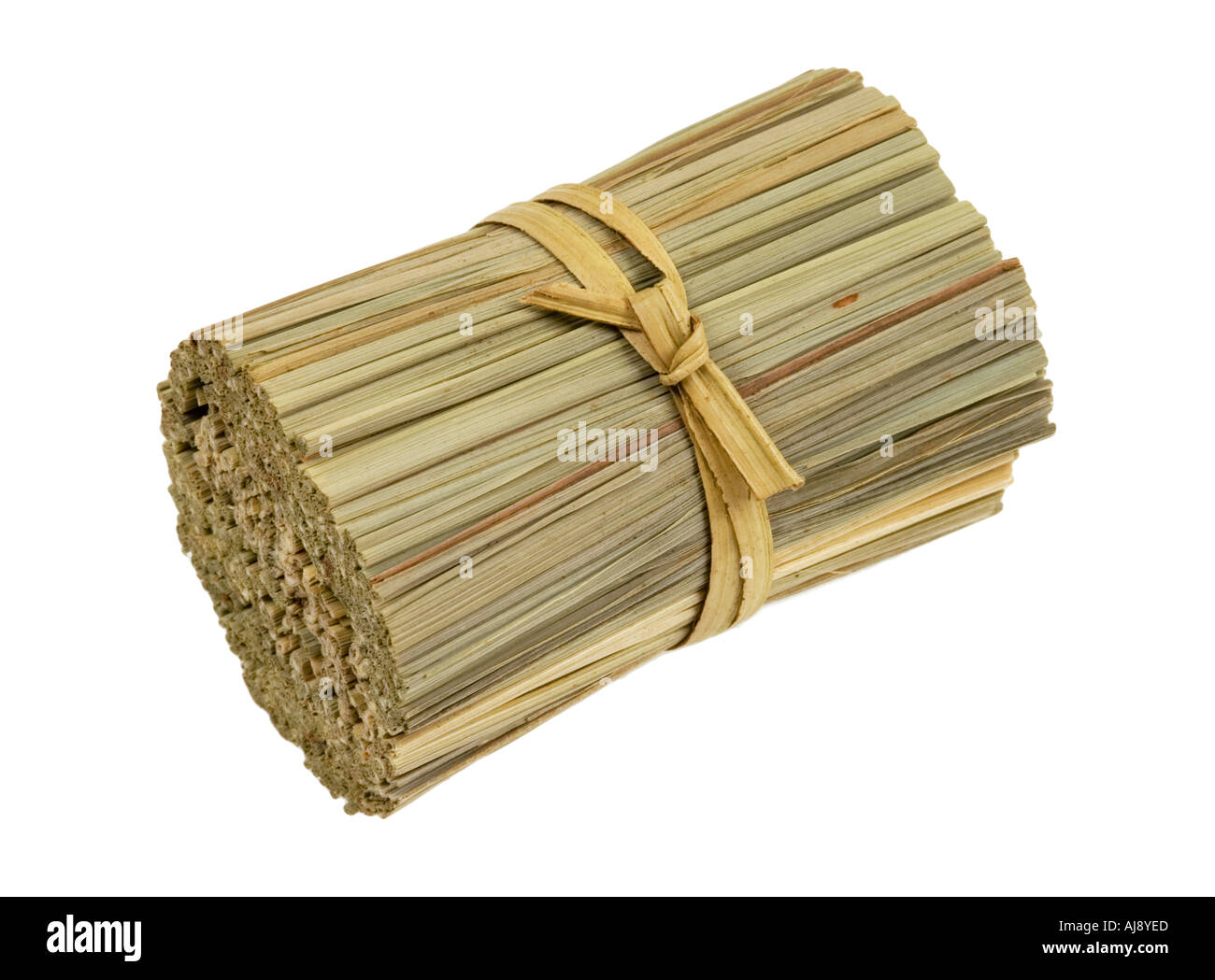 Small slit Cut Out Stock Images & Pictures - Alamy