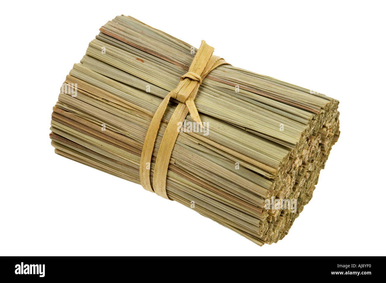 Small slit Cut Out Stock Images & Pictures - Alamy