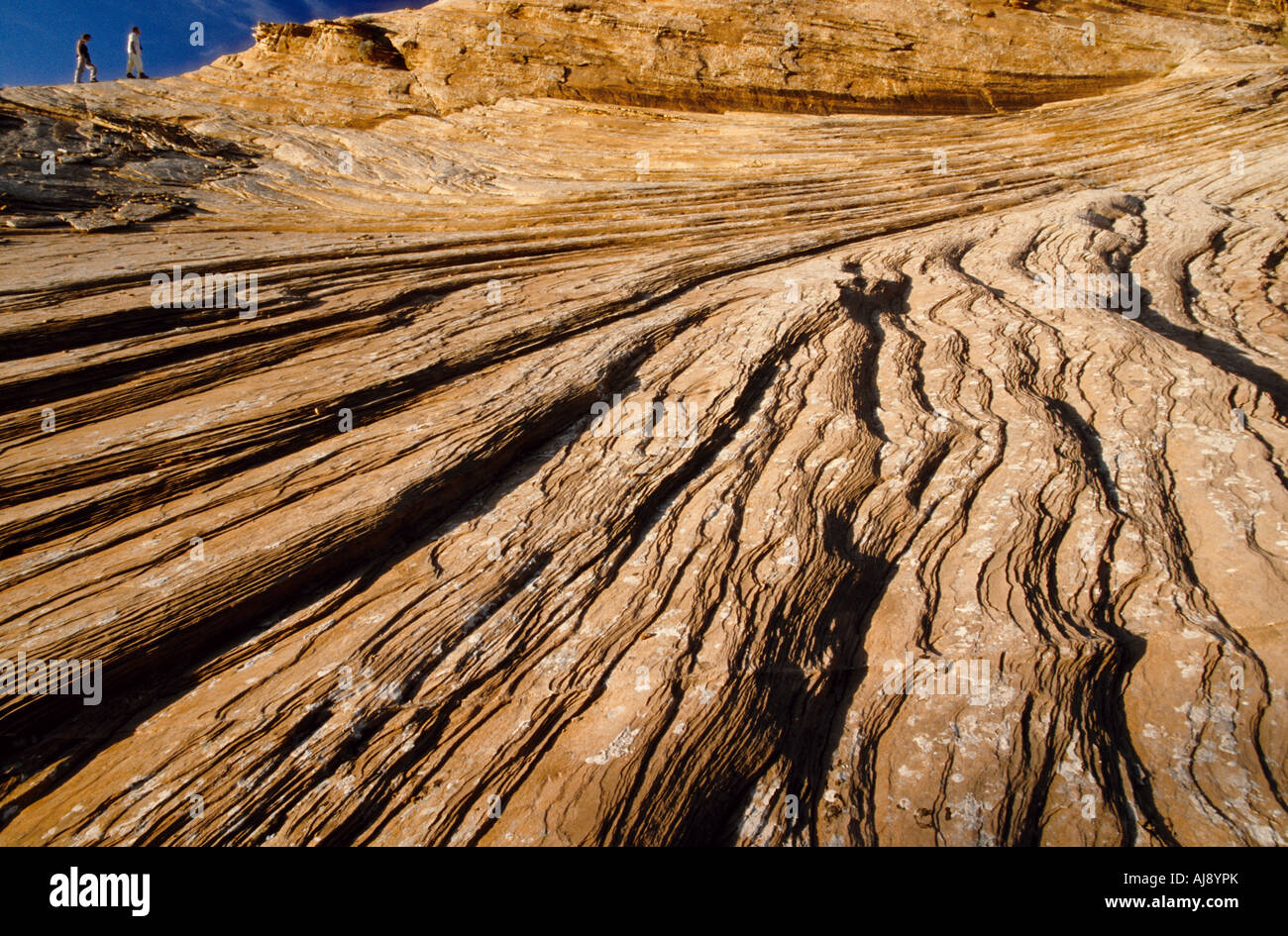 Slick rocks hi-res stock photography and images - Alamy