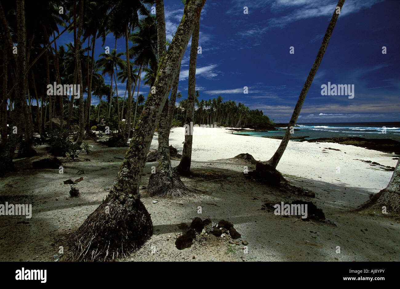 Samoa beach where the movie return to paradise beach was shot Stock ...