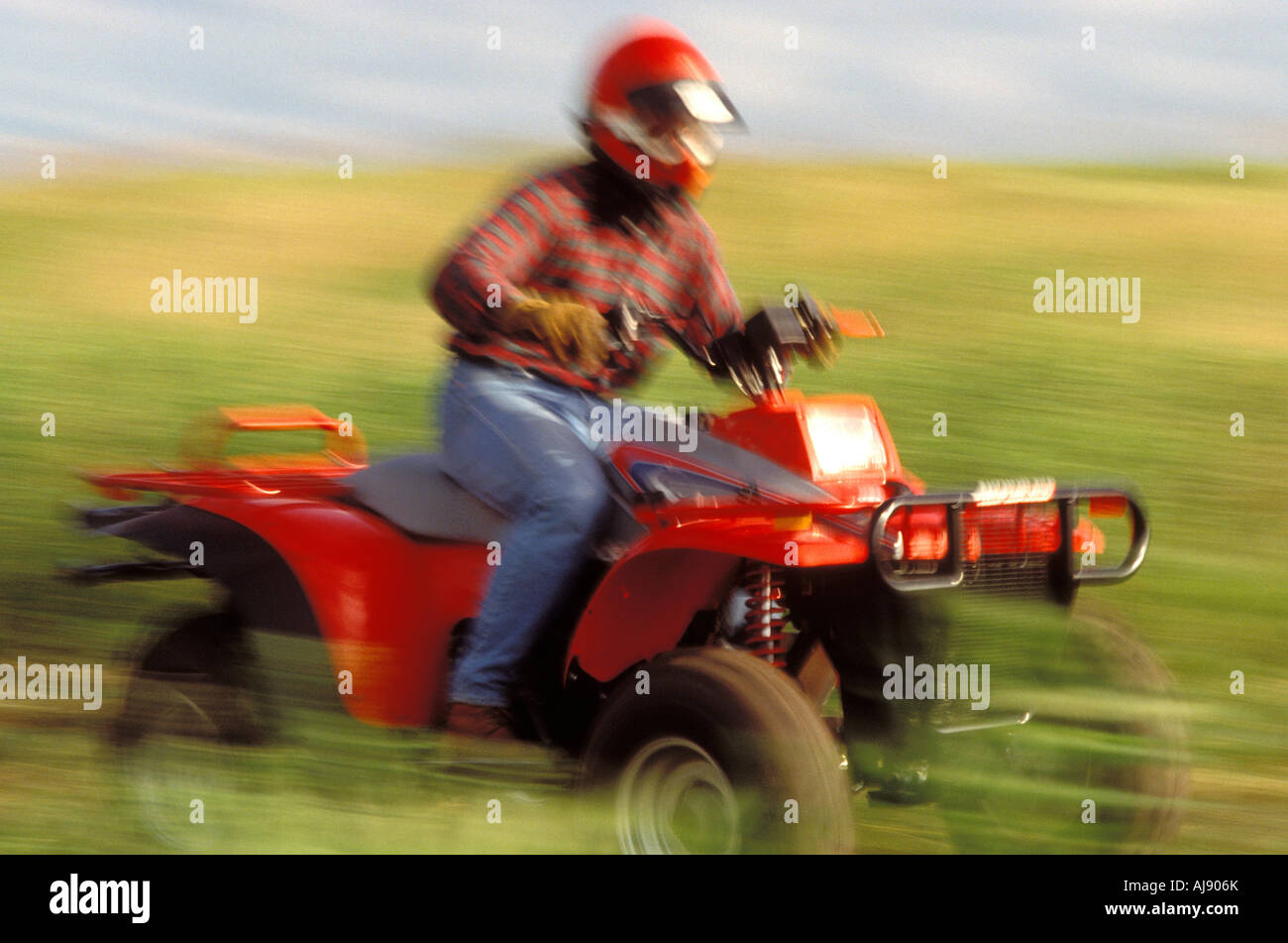 ATV driver riding fast through field Stock Photo - Alamy