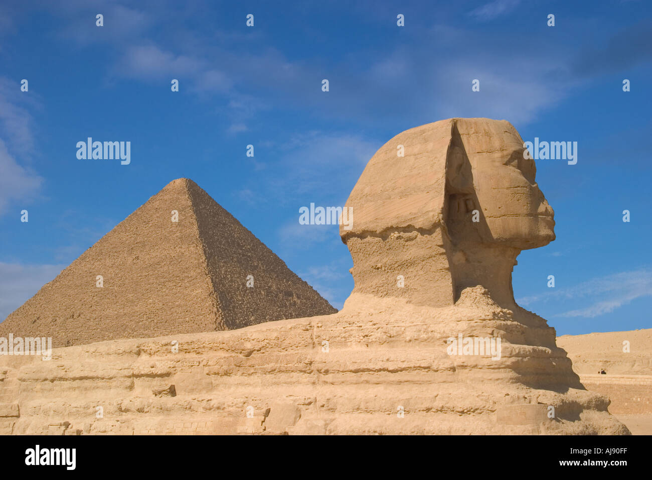 Great sphinx giza detail hi-res stock photography and images - Alamy