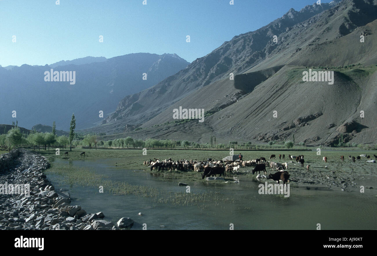 Pakistan Phander Valley Lake Stock Photo - Alamy