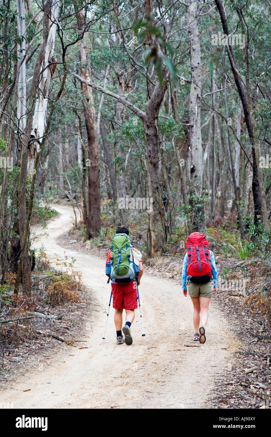 Hikers with backpacks walk along trail Stock Photo - Alamy
