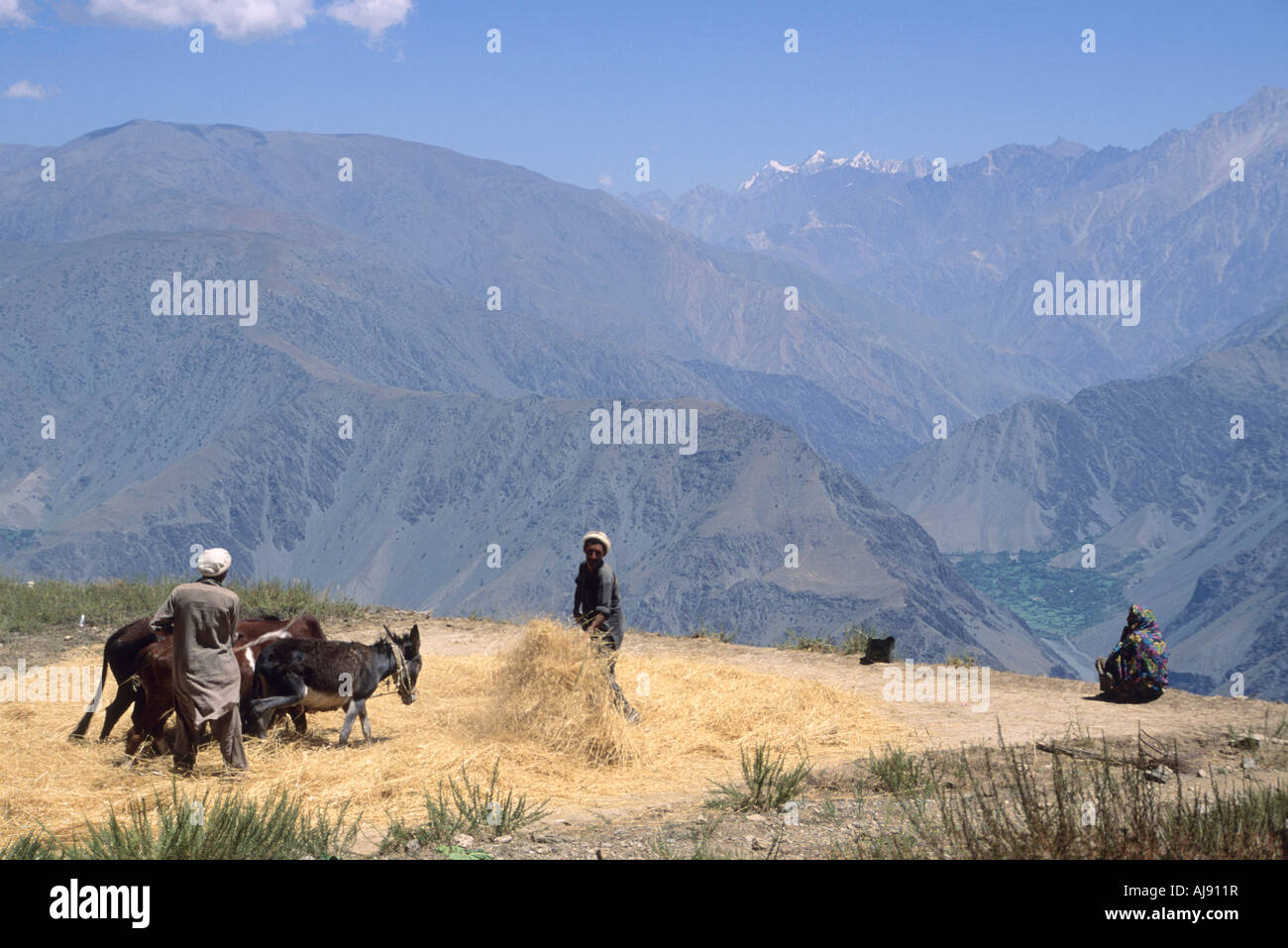 Three tribal men working in the Tribal Area Chitral Valley Pakistan ...