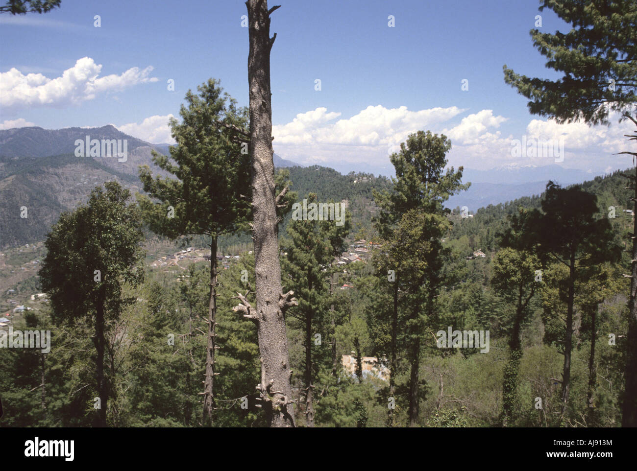 Muree hi-res stock photography and images - Alamy