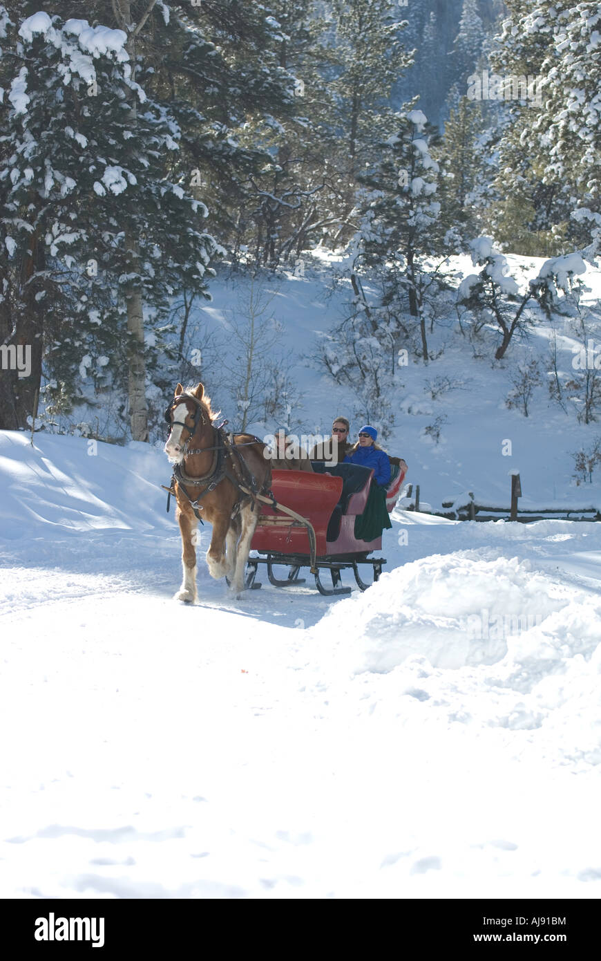 Horse drawn sleigh ride hi-res stock photography and images - Alamy