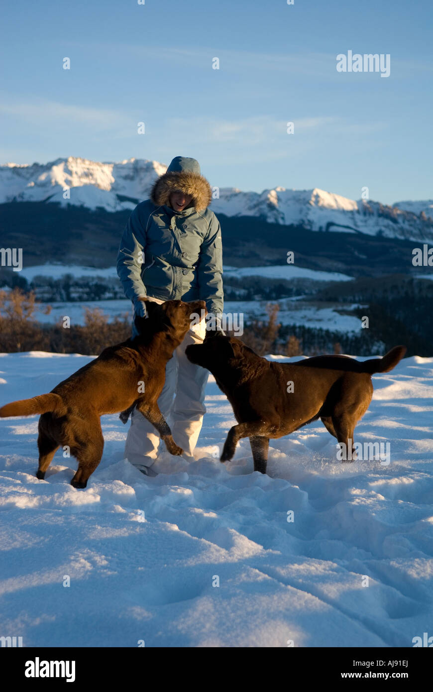 Woman playing two dogs hi-res stock photography and images - Alamy