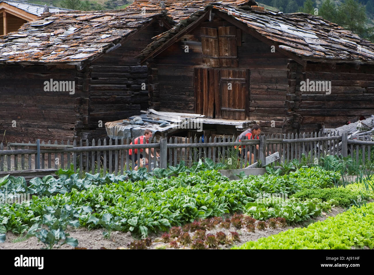 Traditional wooden storage barn in Zermatt Wallis Switzerland July 2006 ...