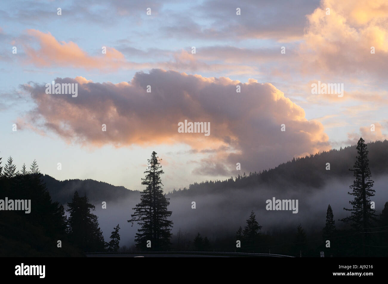 Misty fascination hi-res stock photography and images - Alamy