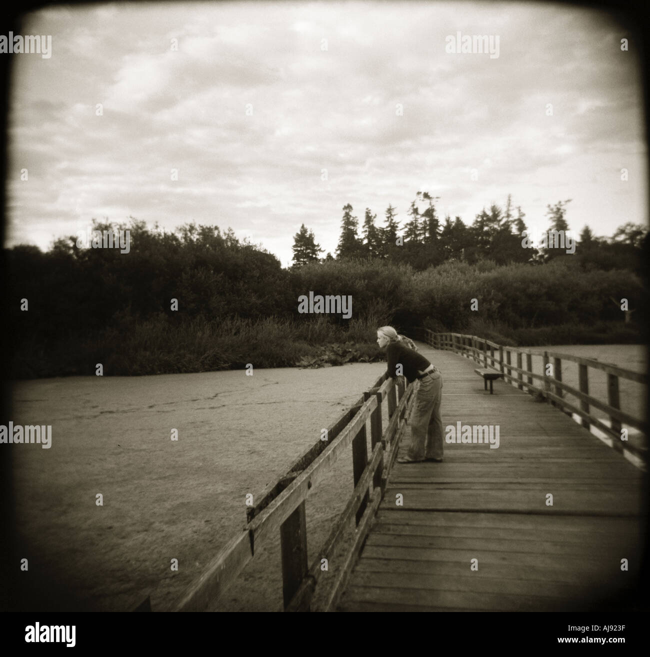 Blonde woman standing on a bridge and looking out over Swan Lake august ...
