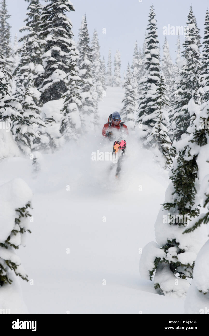 Young man skiing in deep powder Stock Photo - Alamy