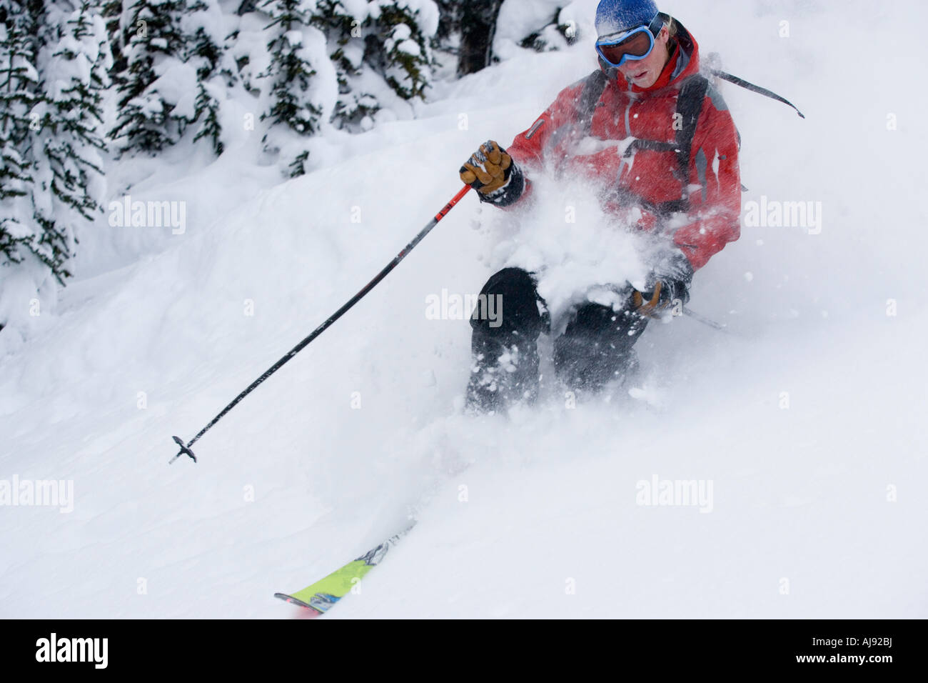 Powder skiing revelstoke hi-res stock photography and images - Alamy