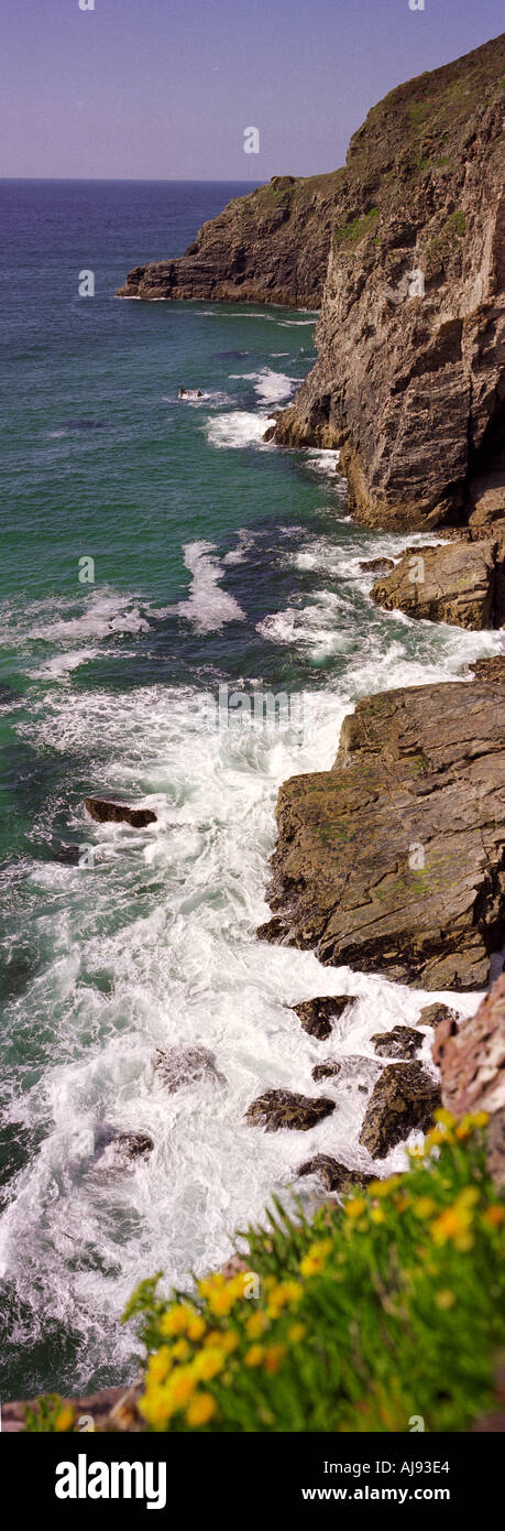 Tubbys head hi-res stock photography and images - Alamy