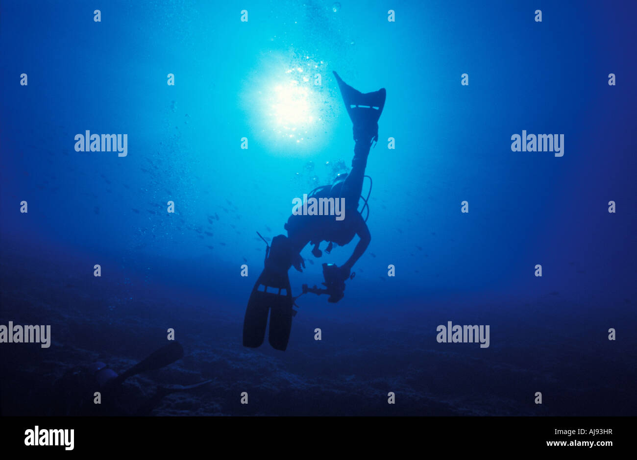 Scuba diver below surface Stock Photo - Alamy