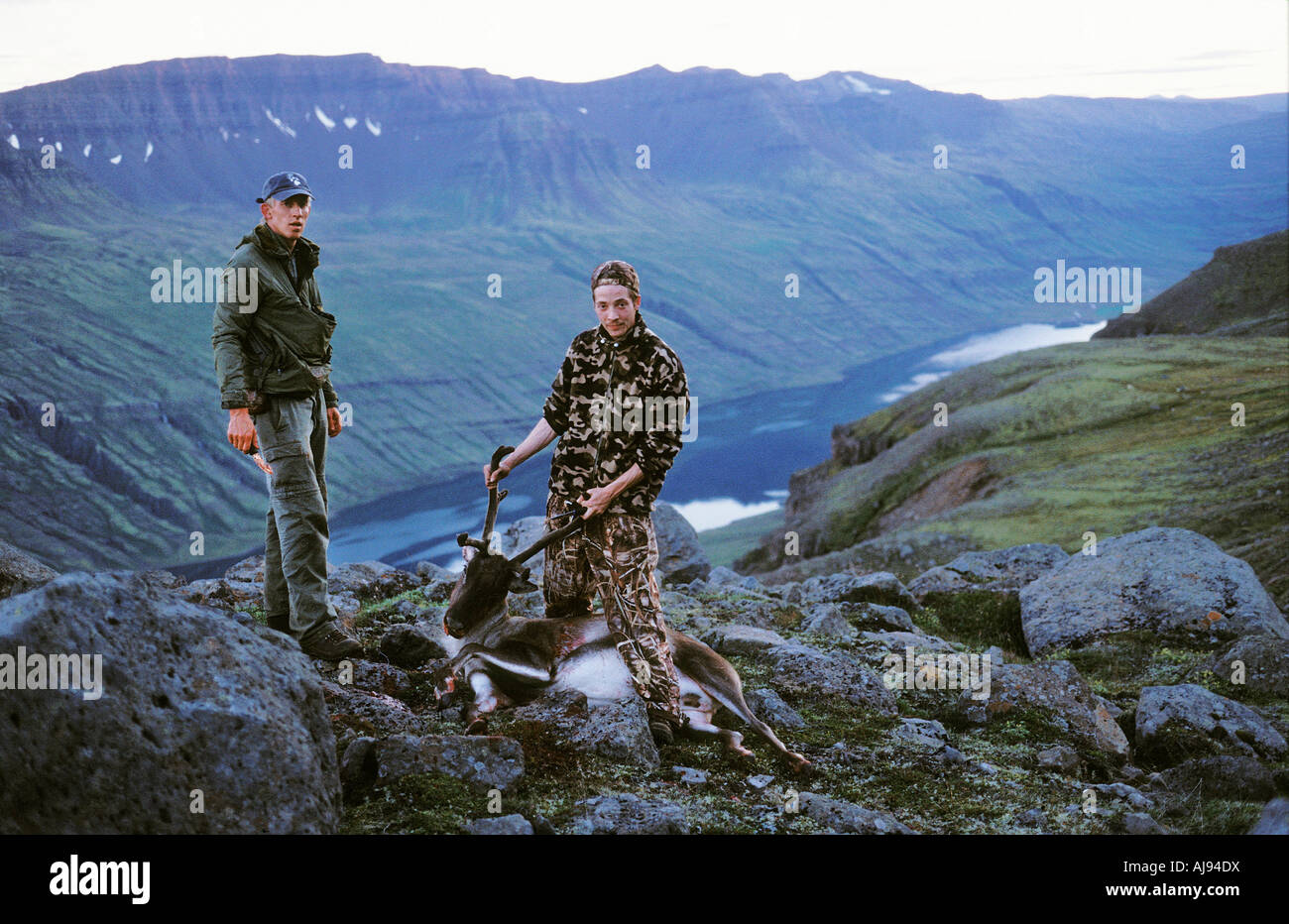 Reindeer hunter with catch and Mjoifjordur in the background. Iceland ...