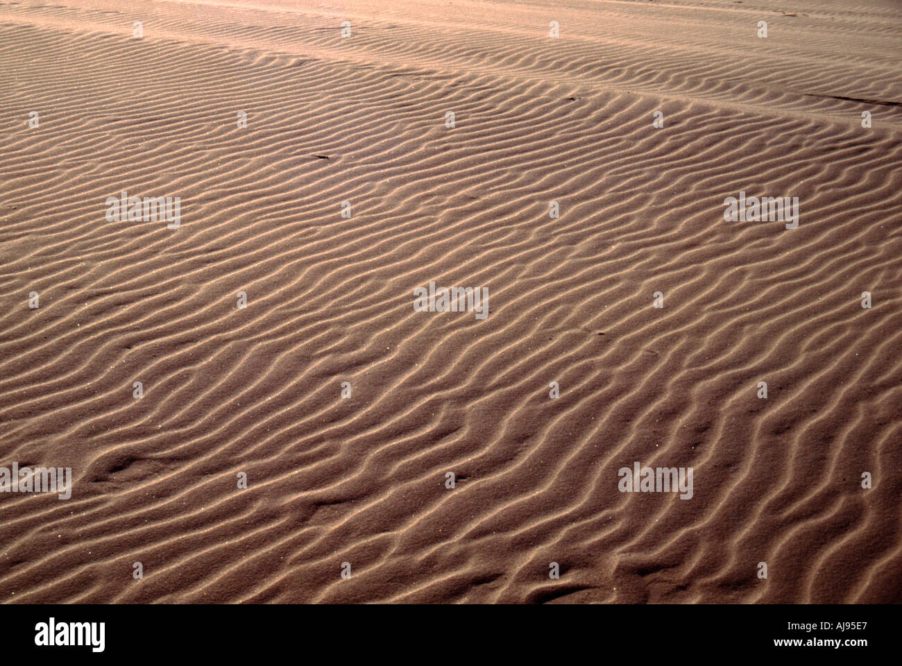 Ripples in sandy beach Stock Photo - Alamy