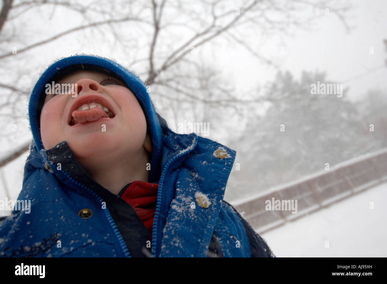 Boy catches snowflakes on tongue Stock Photo - Alamy