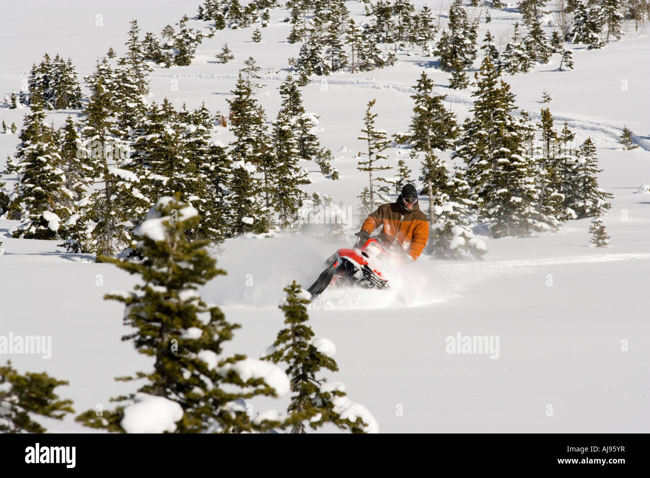 Snowmobiling in the mountains Stock Photo - Alamy
