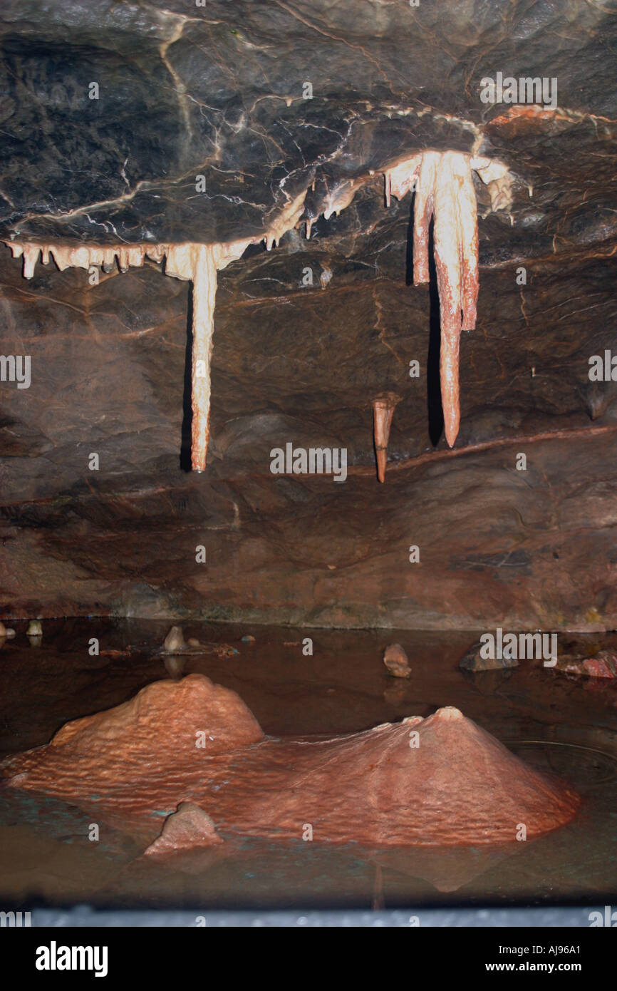 Cave mites hi-res stock photography and images - Alamy