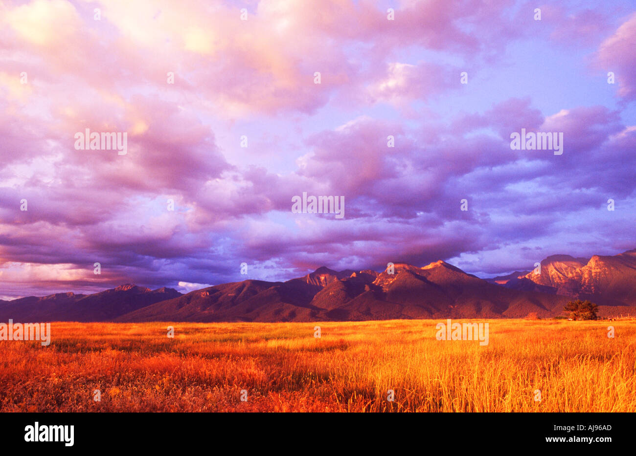 Mission mountains tribal wilderness hi-res stock photography and images ...