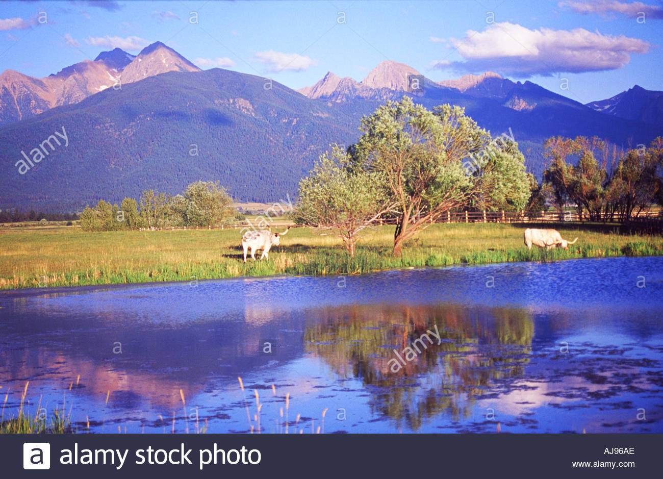 Mission Mountains Tribal Wilderness Stock Photos & Mission Mountains ...