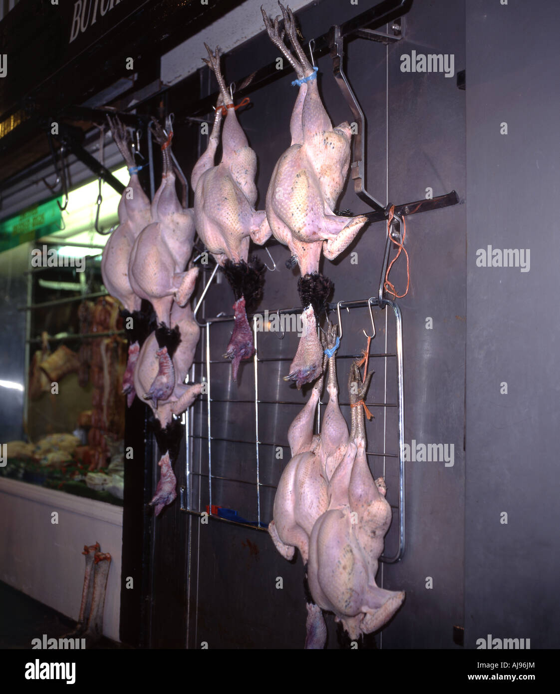 Turkey Hanging In Butchers Shop High Resolution Stock Photography and ...