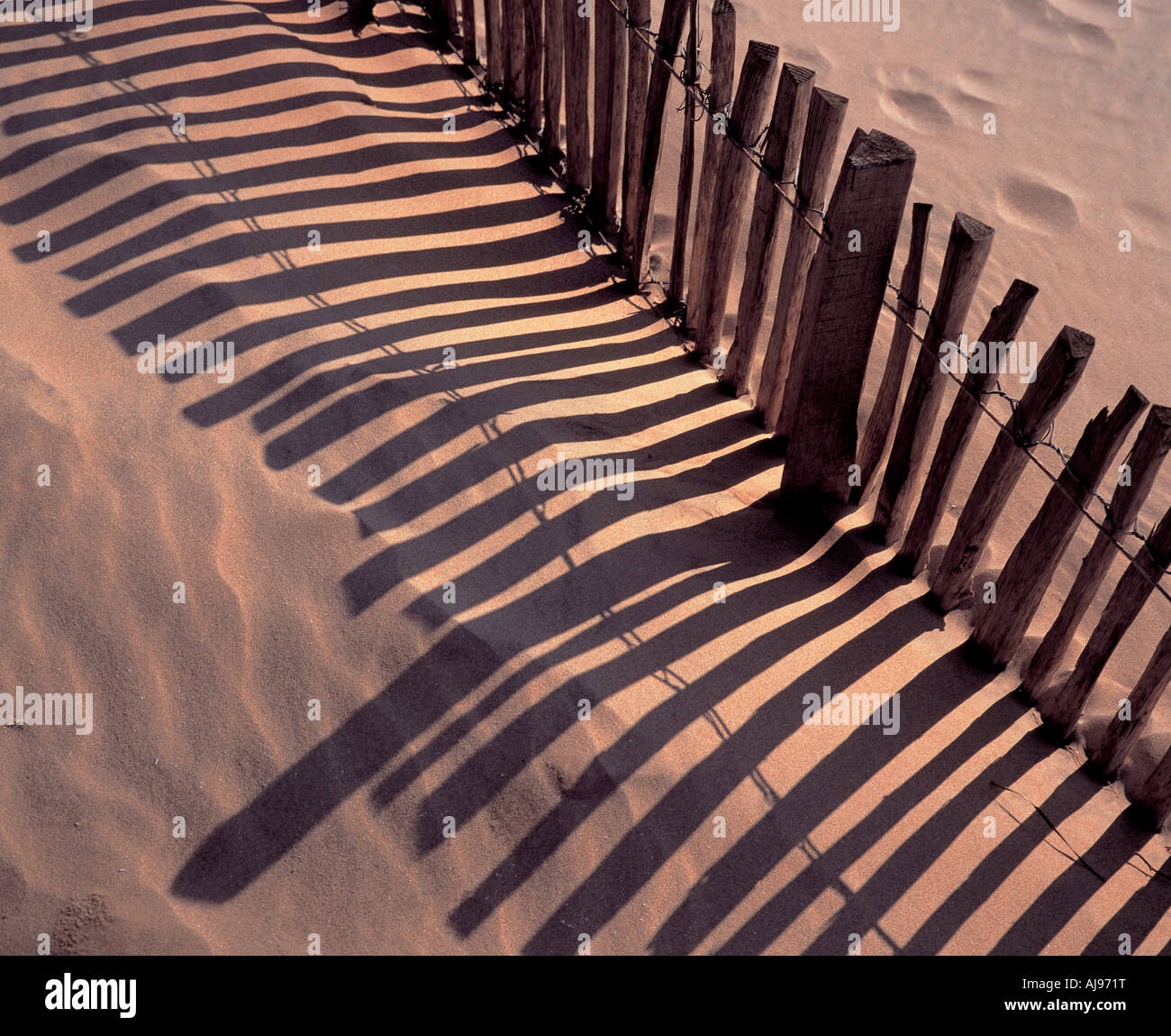 Golden sandy beach with long shadows. Sand dunes with long shadows of ...