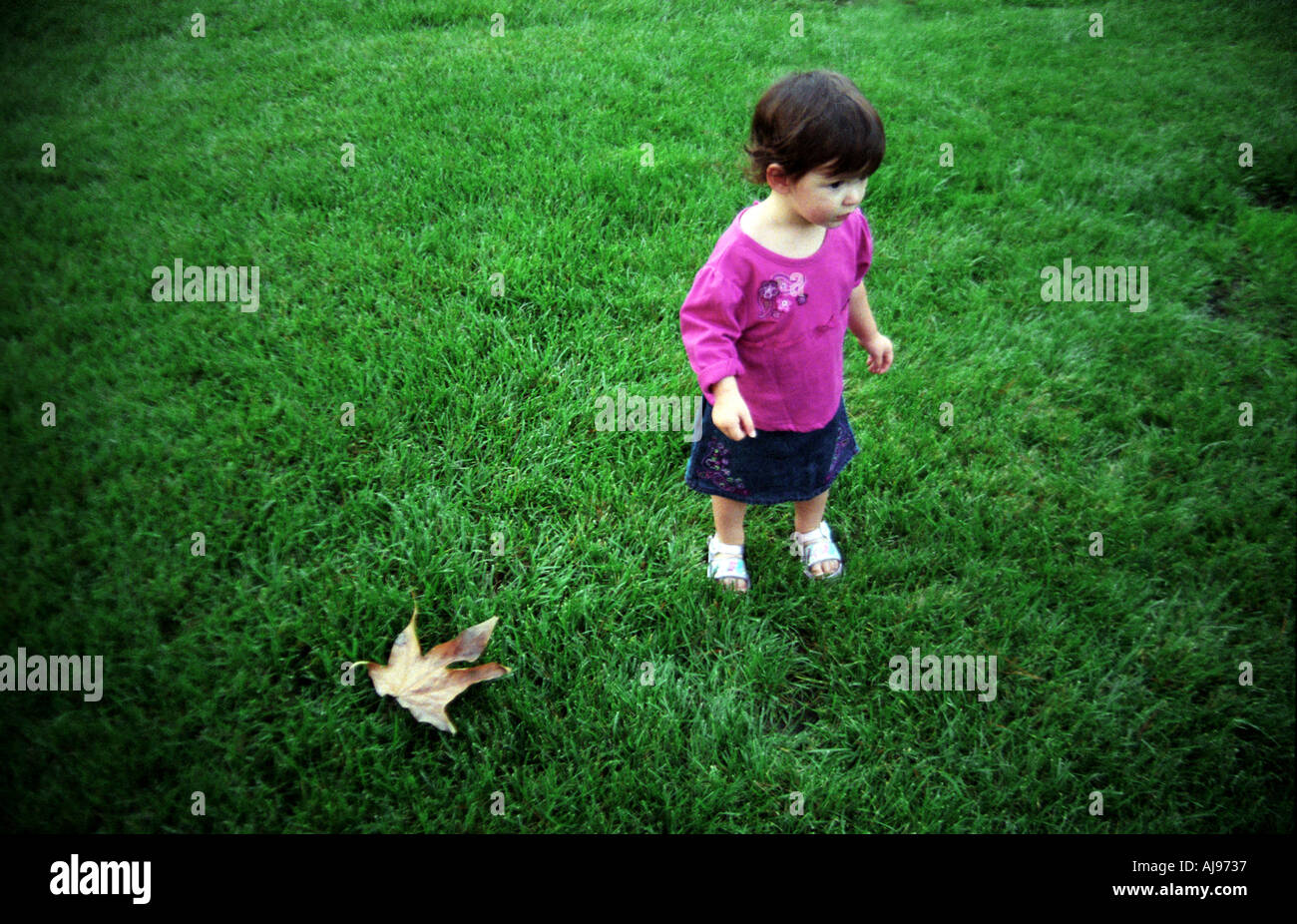 Child standing next to a leaf wide angle lens Stock Photo - Alamy