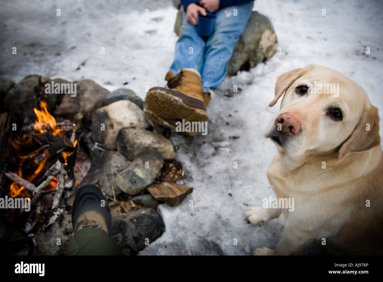 Men and dog sitting next to campfire Stock Photo - Alamy