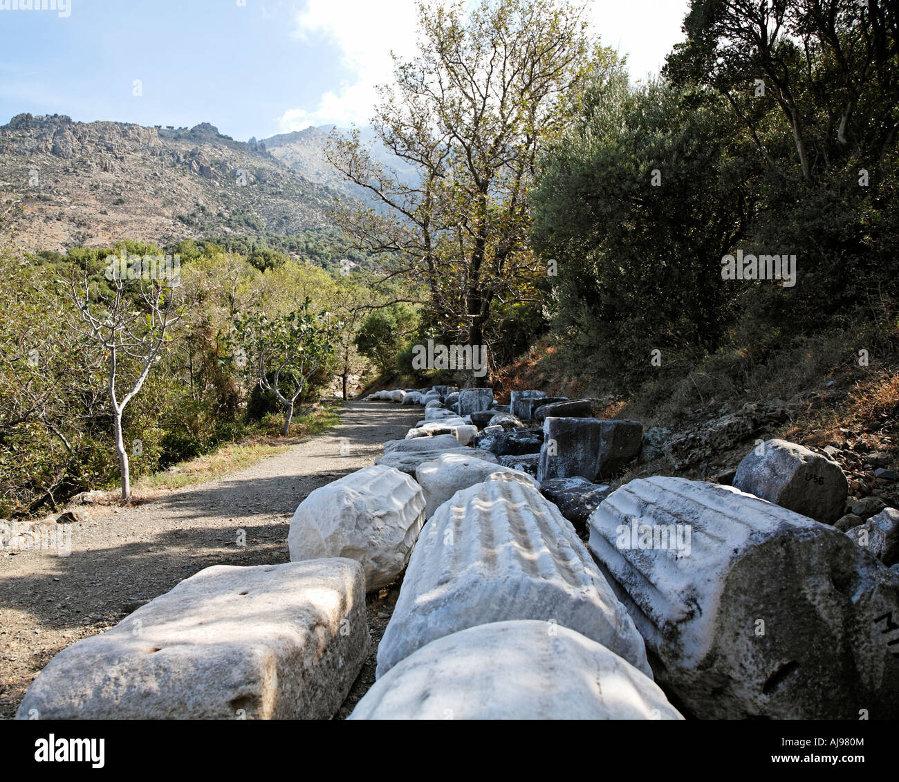 Broken Columns At The Site Of The Great Gods Samothraki Greek Islands ...