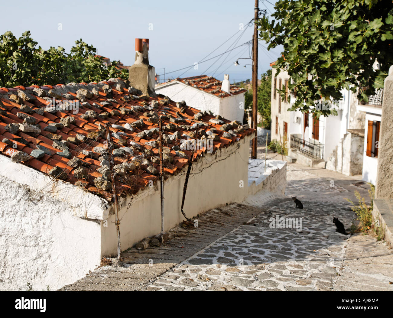 Remote village red roofs hi-res stock photography and images - Alamy