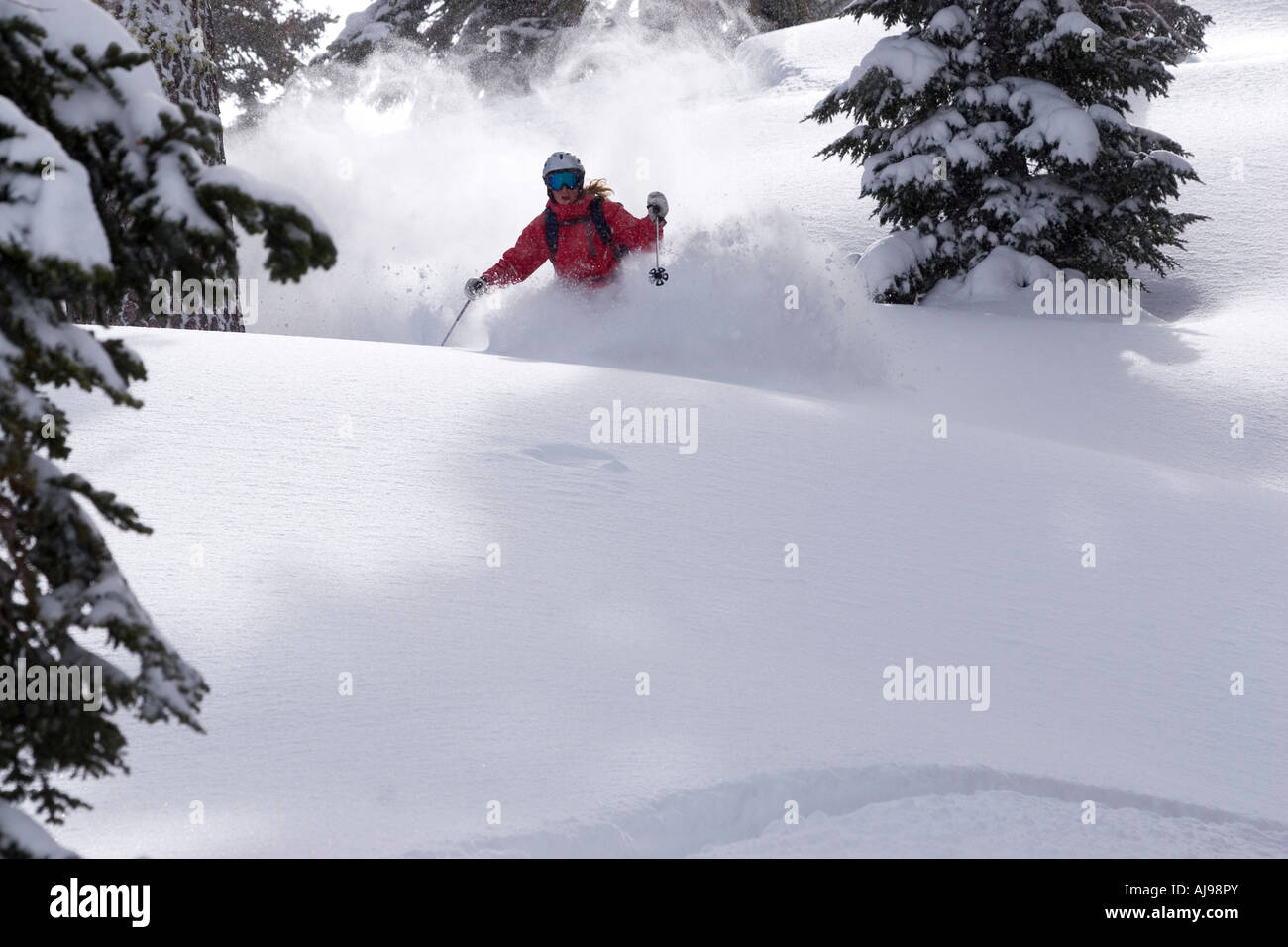 Woman skiing deep powder Stock Photo - Alamy