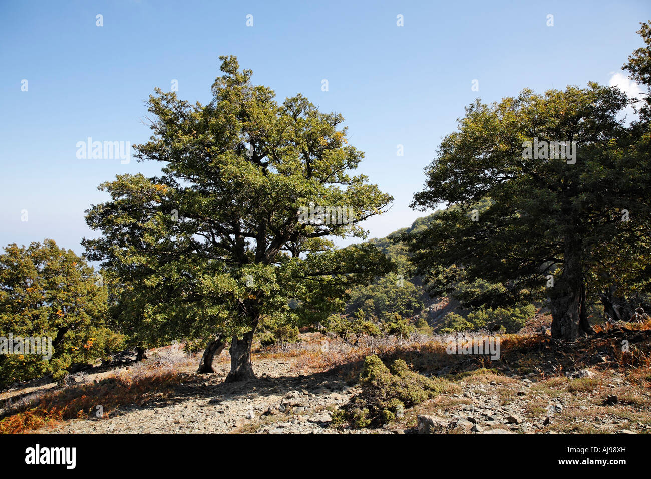 Wilderness Samothraki Greek Islands Greece Hellas Stock Photo - Alamy