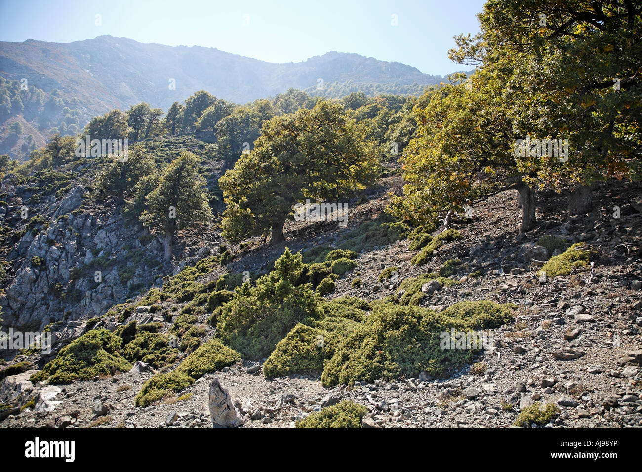 Wilderness Samothraki Greek Islands Greece Hellas Stock Photo - Alamy