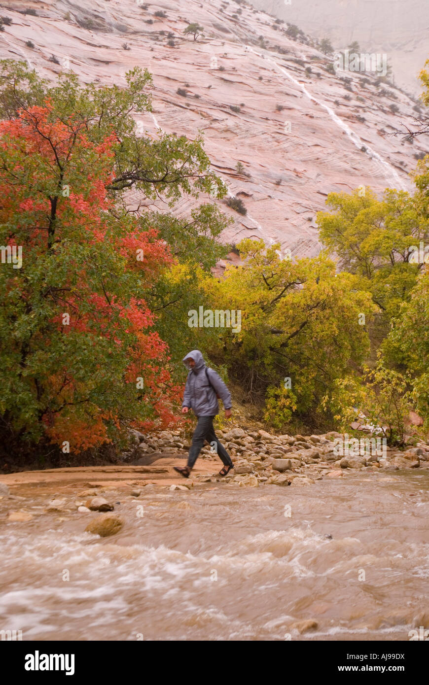 Man hiking in fall rain, Zion Stock Photo - Alamy