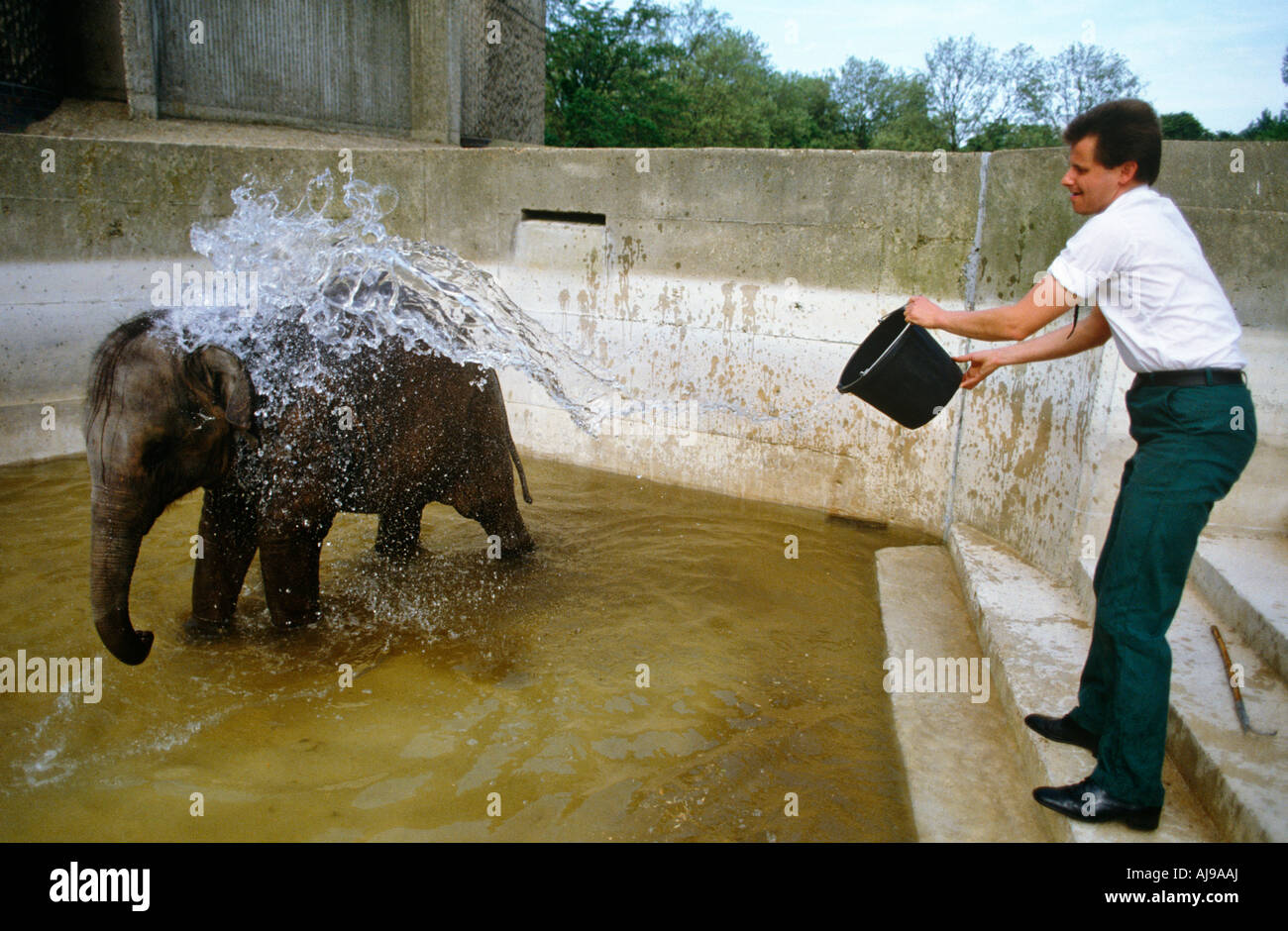 Zoo Keeper With Elephant Stock Photo - Alamy