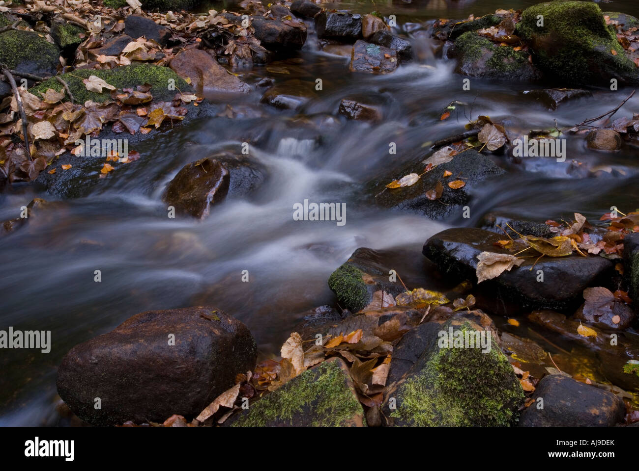 Slow moving water hi-res stock photography and images - Alamy