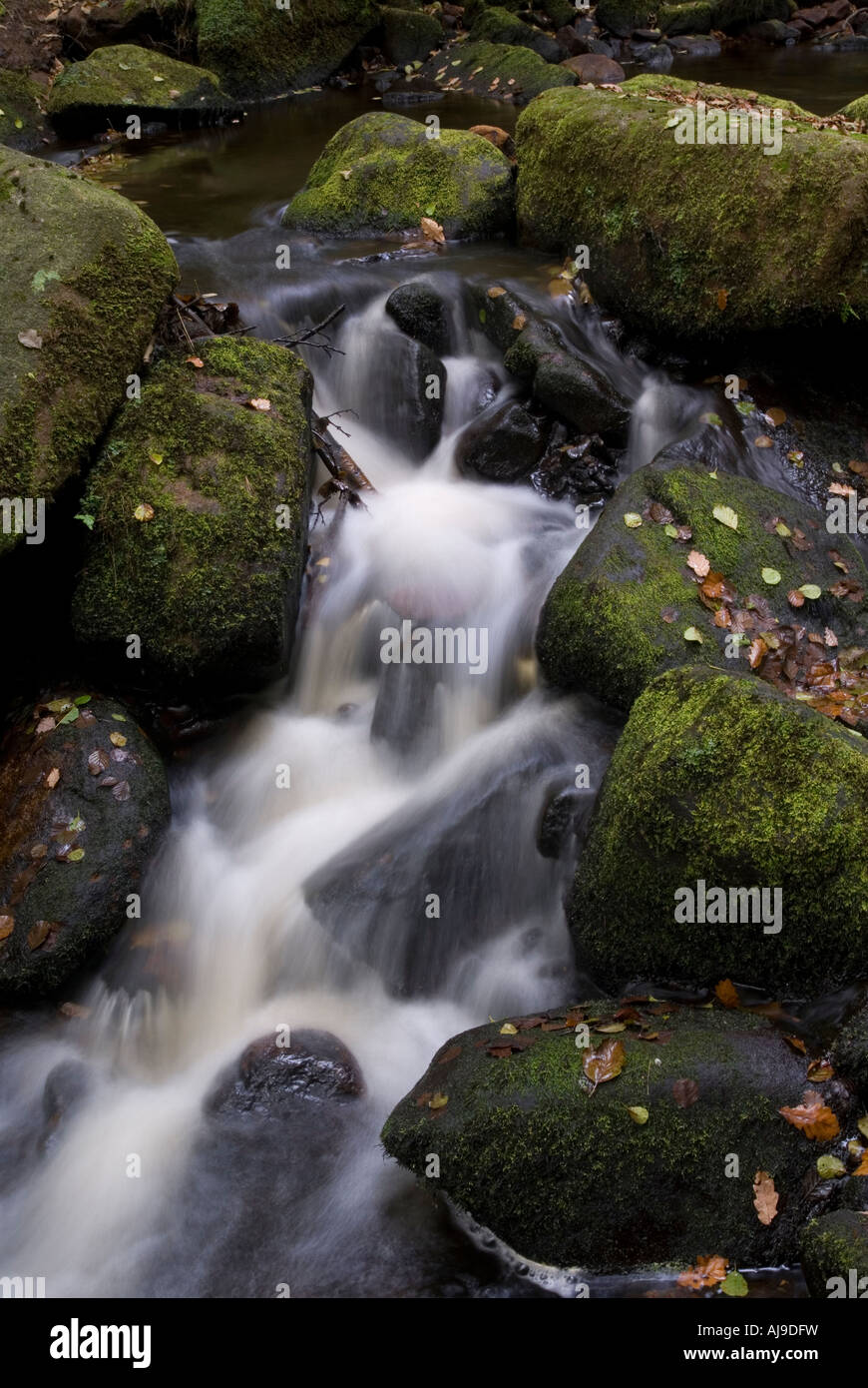 Fall movement hi-res stock photography and images - Alamy