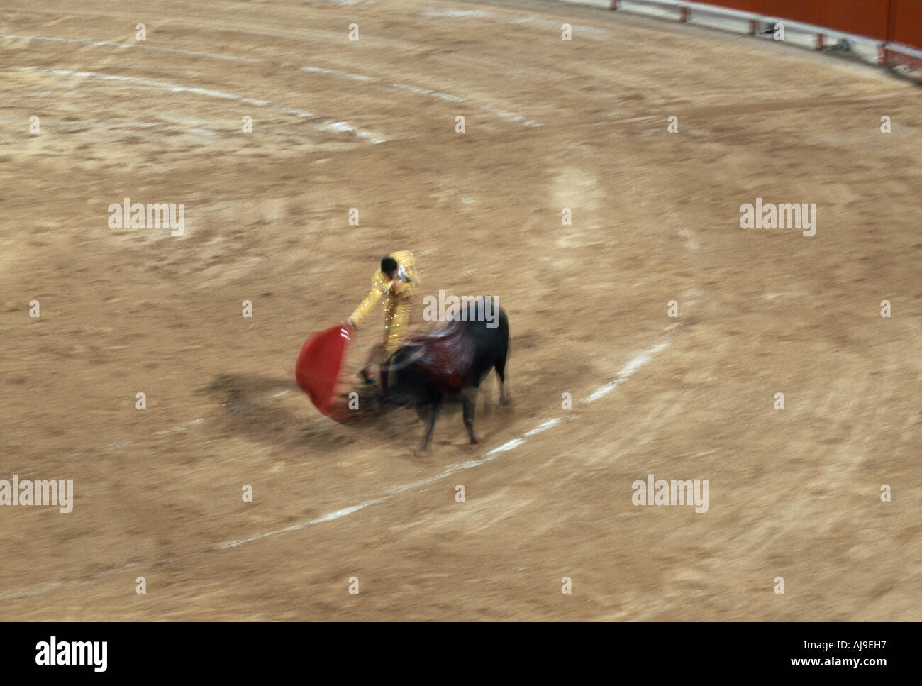 Matador fighting bull Stock Photo - Alamy