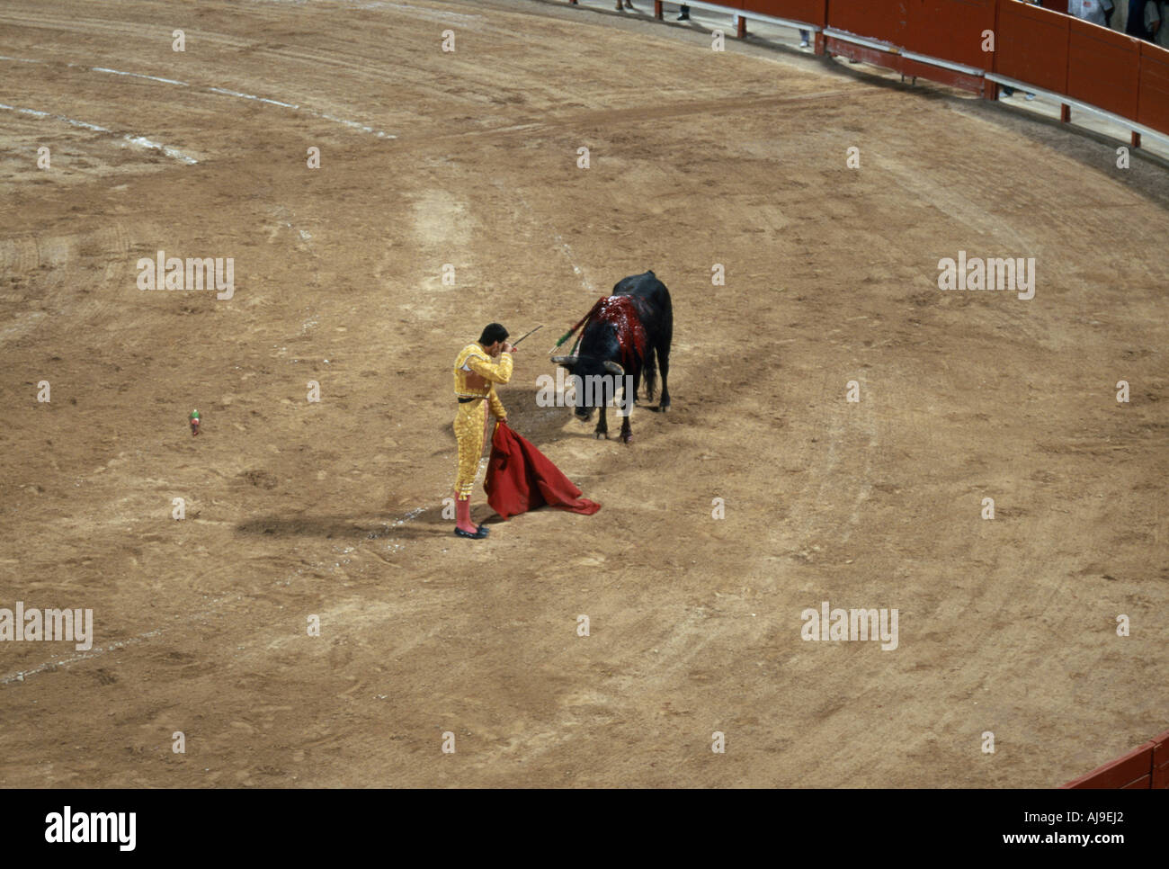 Red bull matador hi-res stock photography and images - Alamy