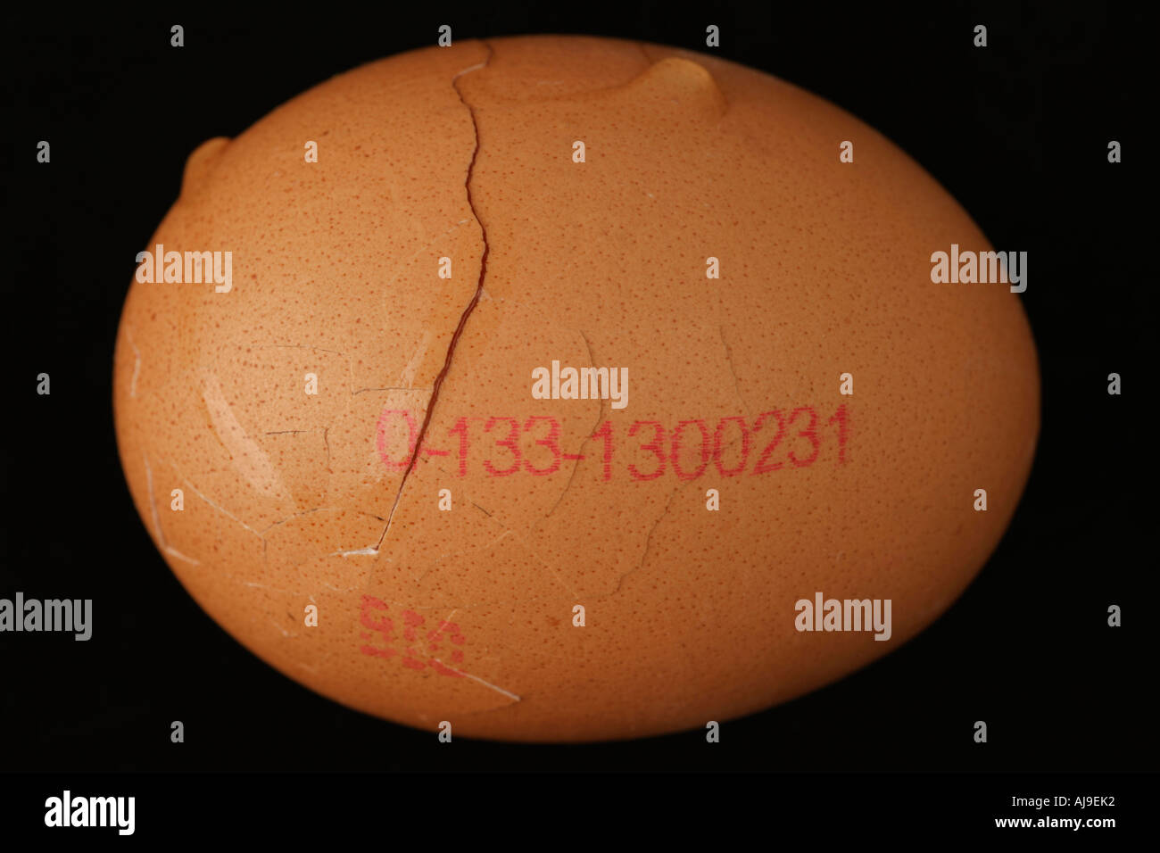 Egg with cracked shell Stock Photo - Alamy