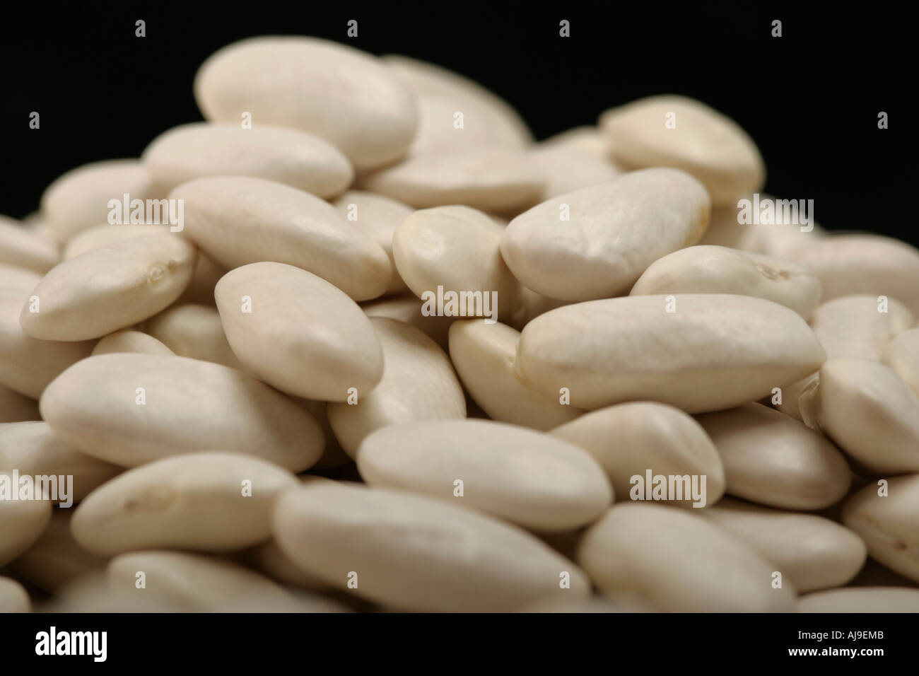 Pile of haricot beans Stock Photo - Alamy