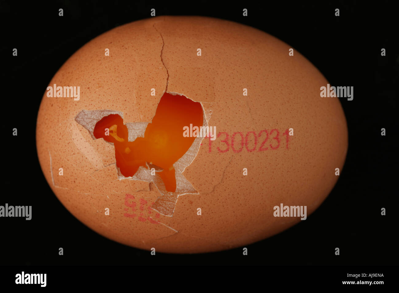 Egg in hole hi-res stock photography and images - Alamy