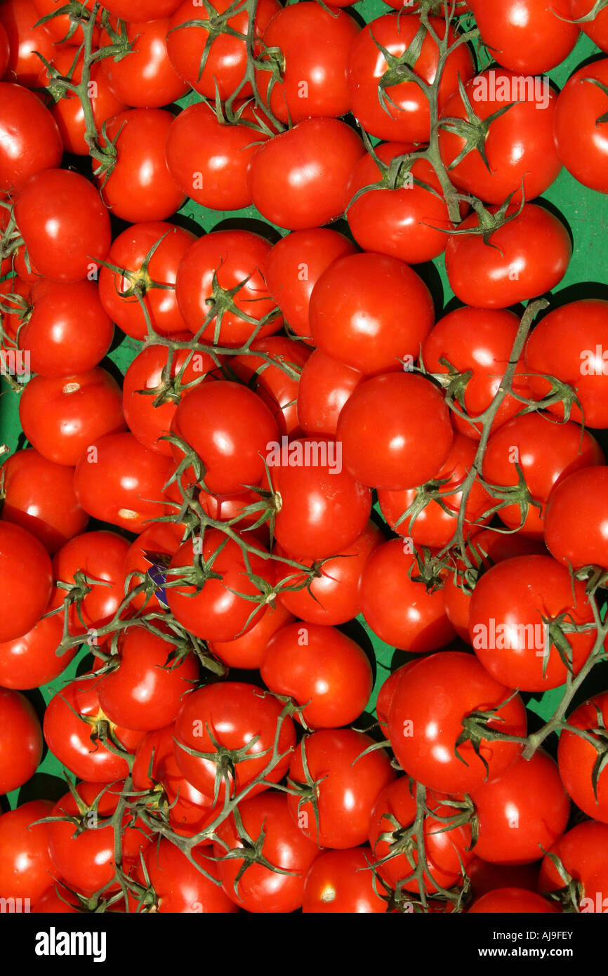 juicy fresh tomatoes Stock Photo - Alamy