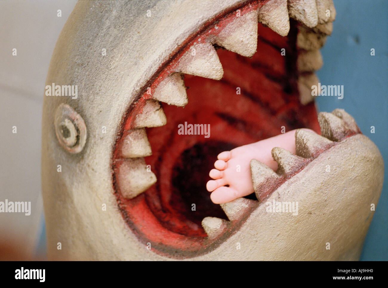 Foot in shark s mouth Stock Photo - Alamy