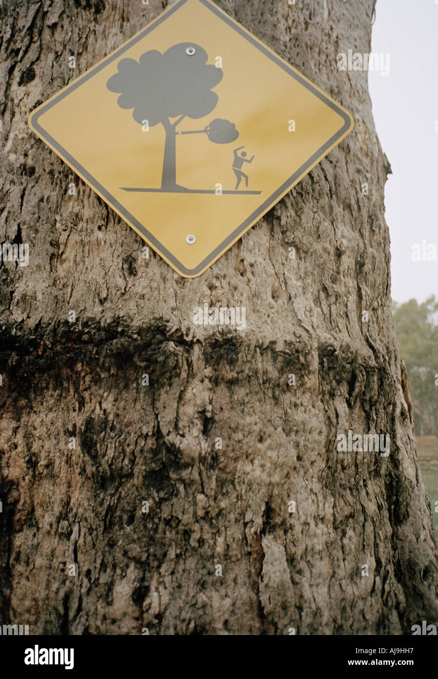 Sign for falling tree branches Stock Photo - Alamy
