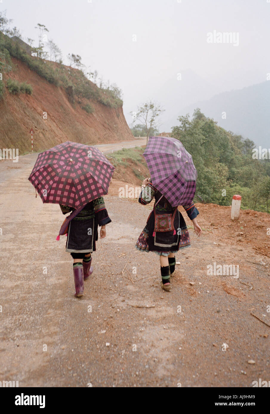 Tour guides leading hike through Sapa Mountains Vietnam Stock Photo - Alamy