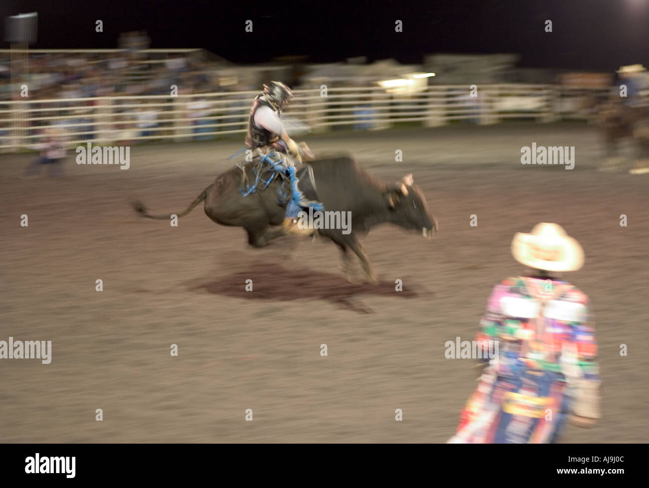 Rodeo Rider in action Stock Photo - Alamy