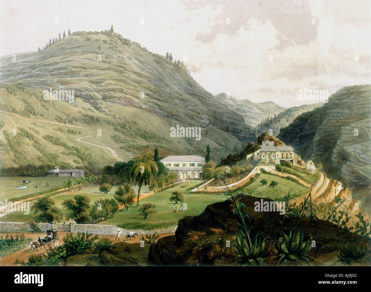 Early life of napoleon hi-res stock photography and images - Alamy